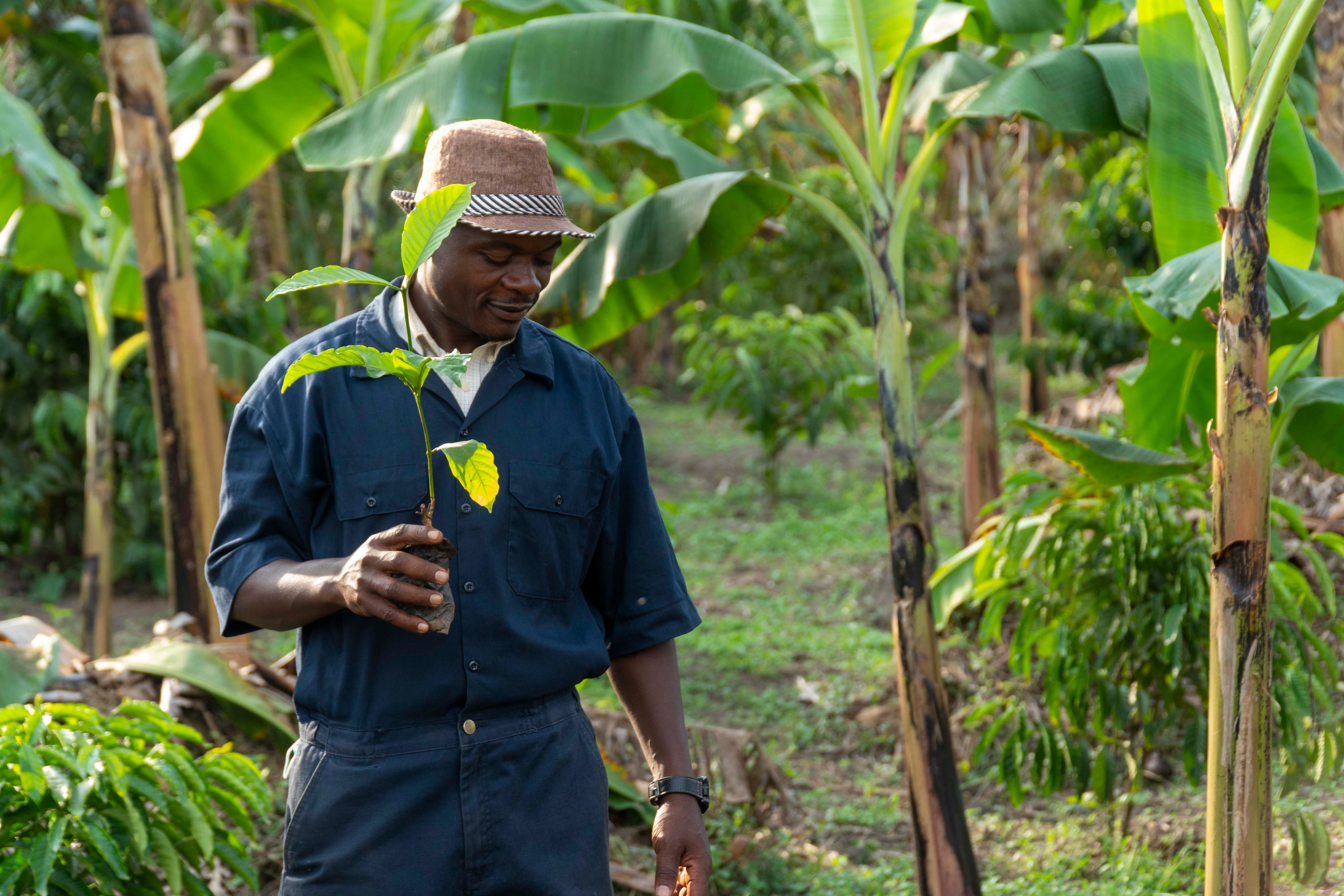 | KENAFF - KENYA NATIONAL FARMERS' FEDERATION