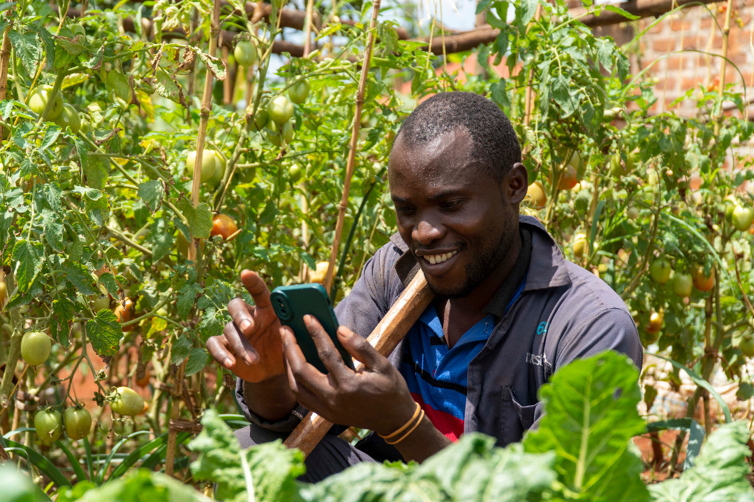 Home - KENAFF - KENYA NATIONAL FARMERS' FEDERATION